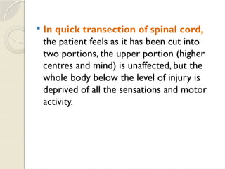 Spinal cord lesions(central nervous system) | PPTX
