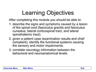 Spinal cord lesions module | PPS