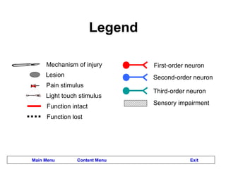 Spinal cord lesions module | PPS