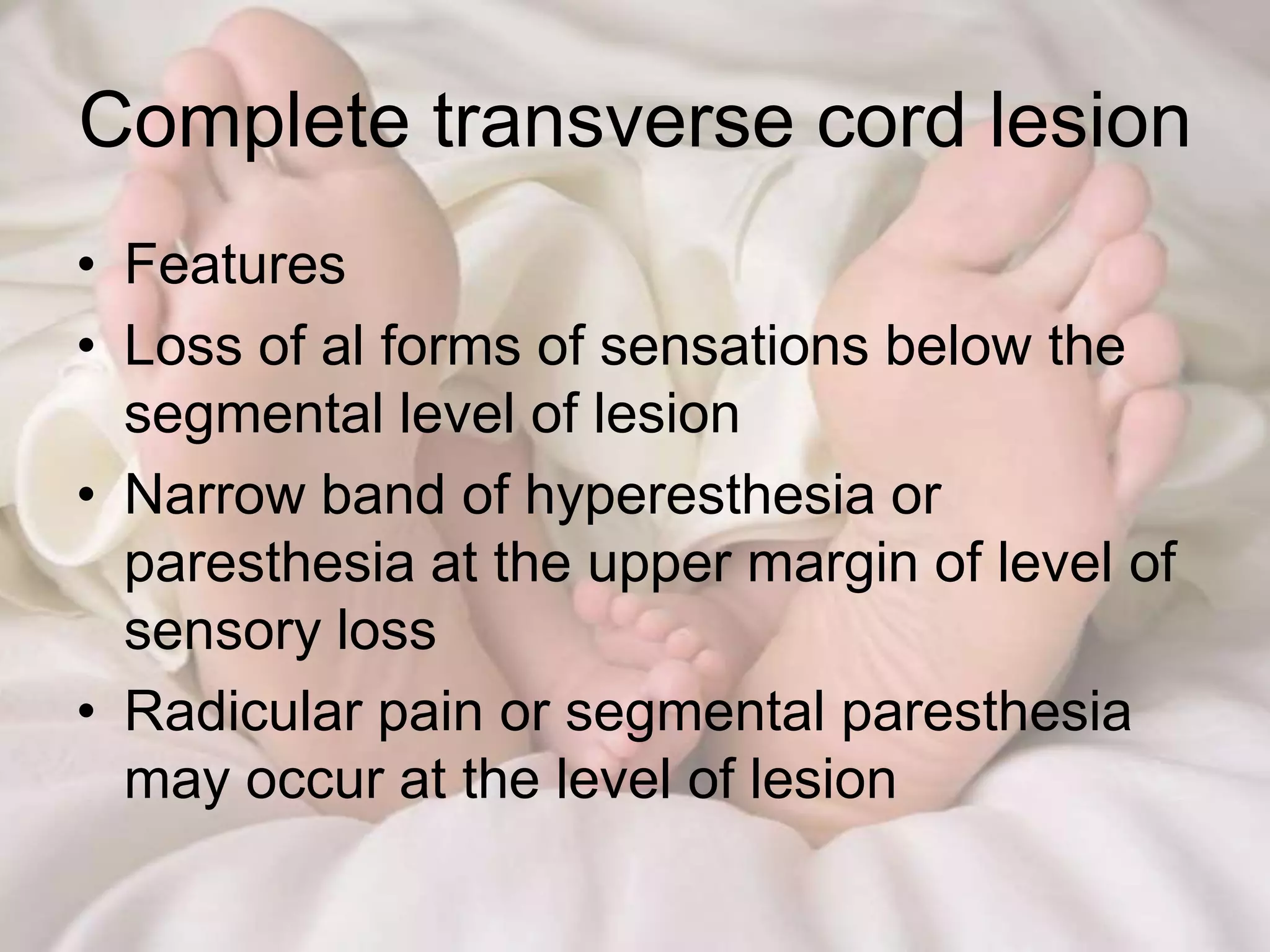 Spinal cord lession localisation | PPTX