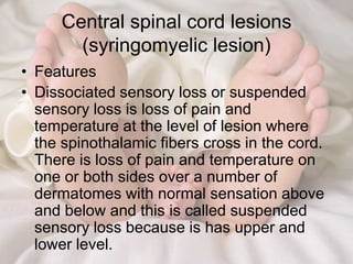 Spinal cord lession localisation | PPTX