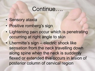 Spinal cord lession localisation | PPTX