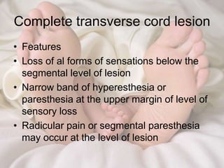Spinal cord lession localisation-ppt.pdf