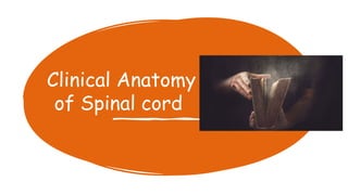 Spinal cord localization and case based discussion.pptx