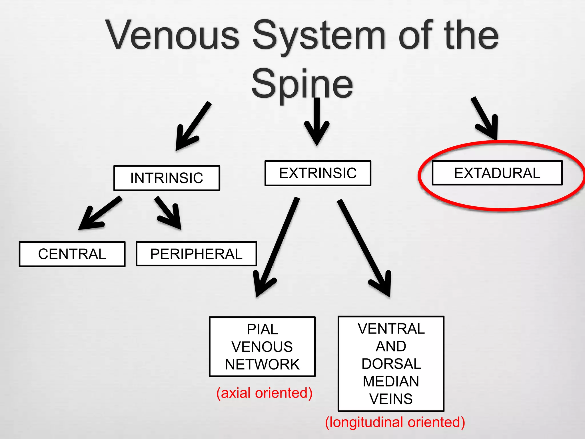 Spinal Cord Magnetic Resonance Angiography - Spinal MRA | PPTX