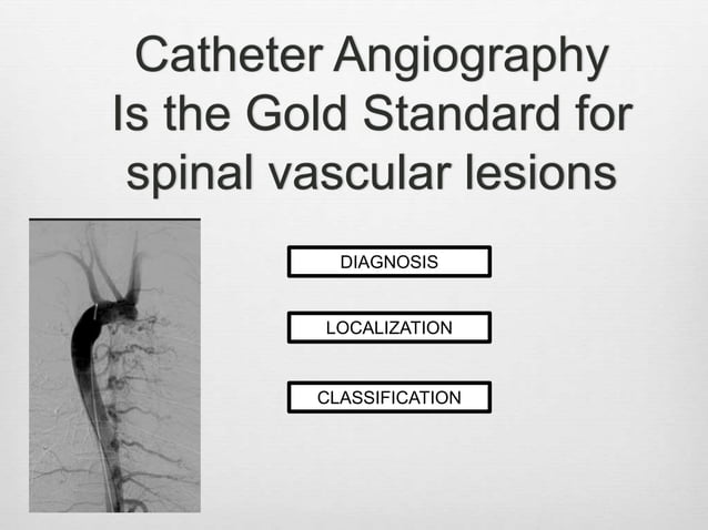 Spinal Cord Magnetic Resonance Angiography - Spinal MRA | PPTX