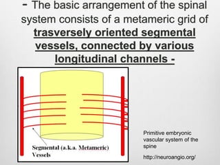 Spinal Cord Magnetic Resonance Angiography - Spinal MRA | PPTX