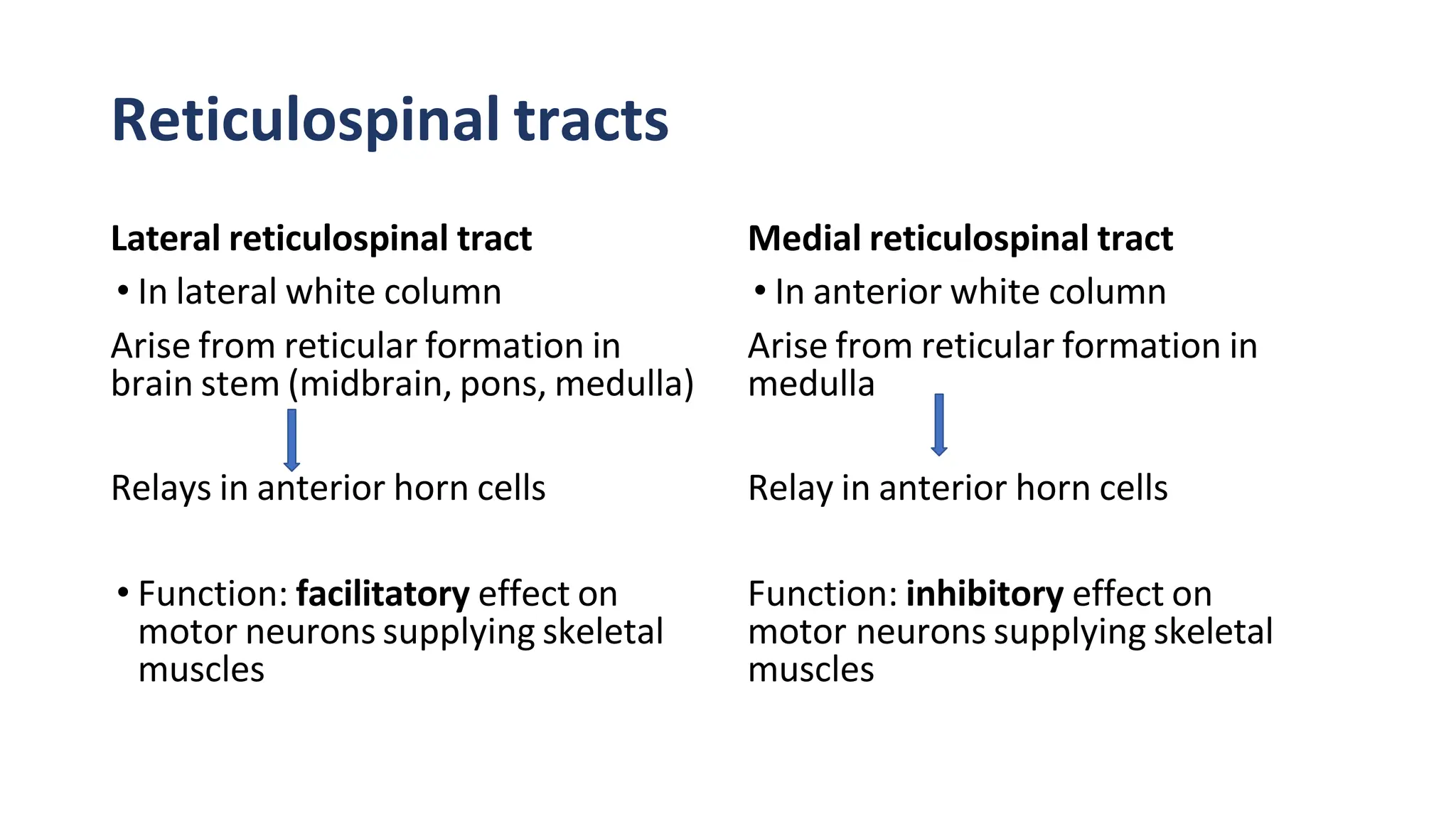 SPINAL CORD AND APPLIED ANATOMY NEW.pptx