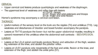 SPINAL CORD AND APPLIED ANATOMY NEW.pptx