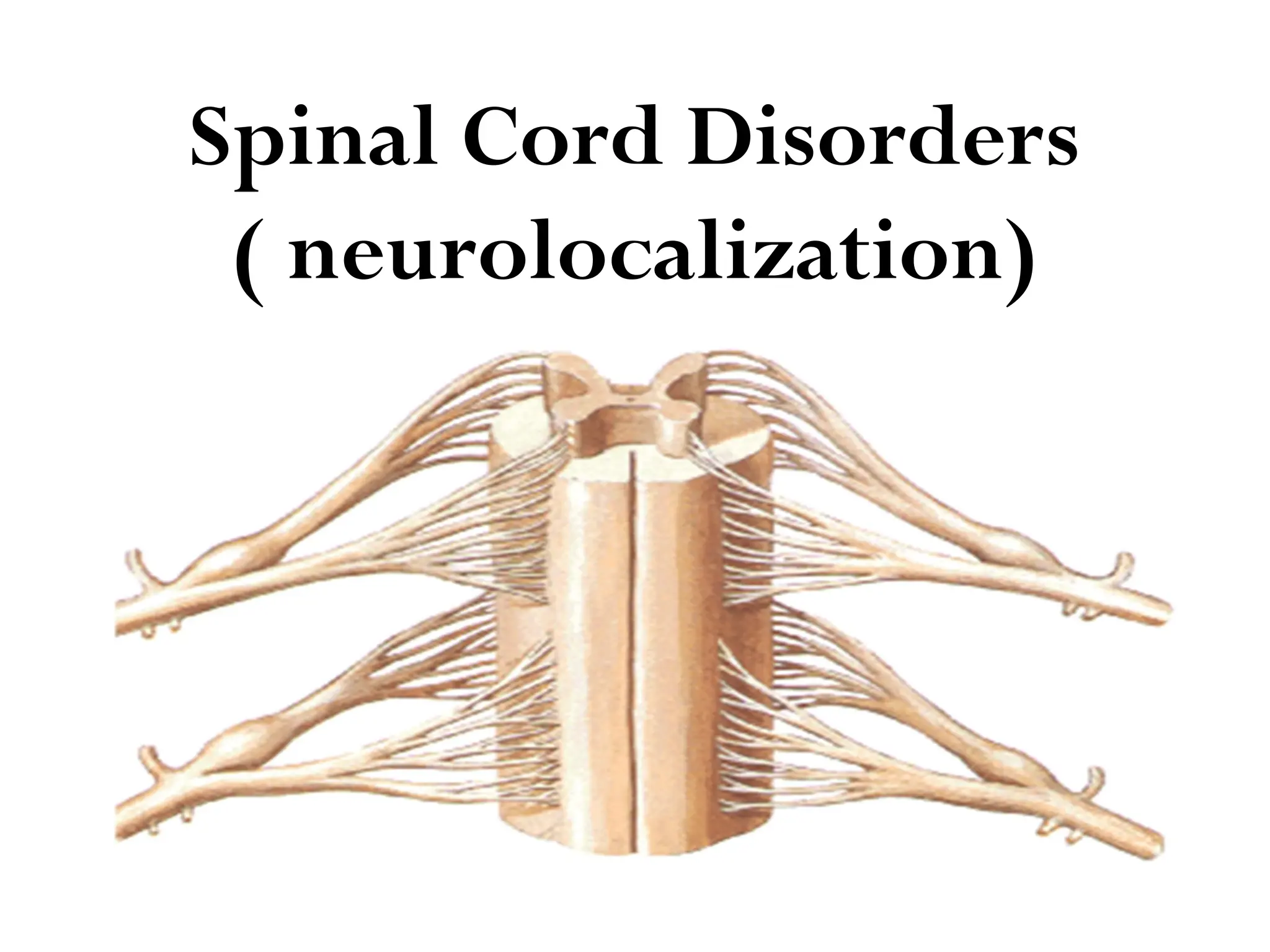 Spinal cord injury2 ,disease and other chronic lower extremity ...