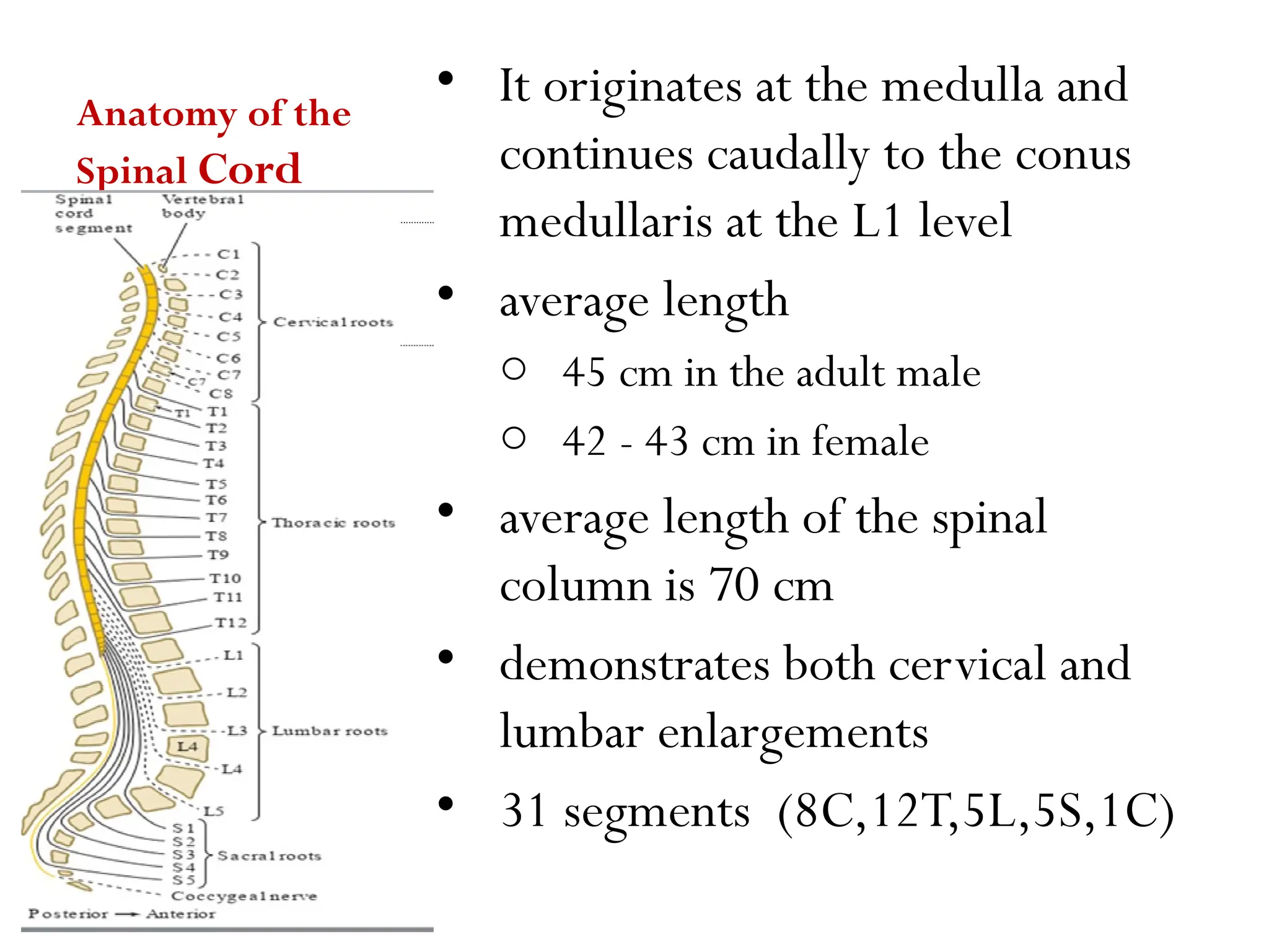 Spinal cord injury2 ,disease and other chronic lower extremity ...