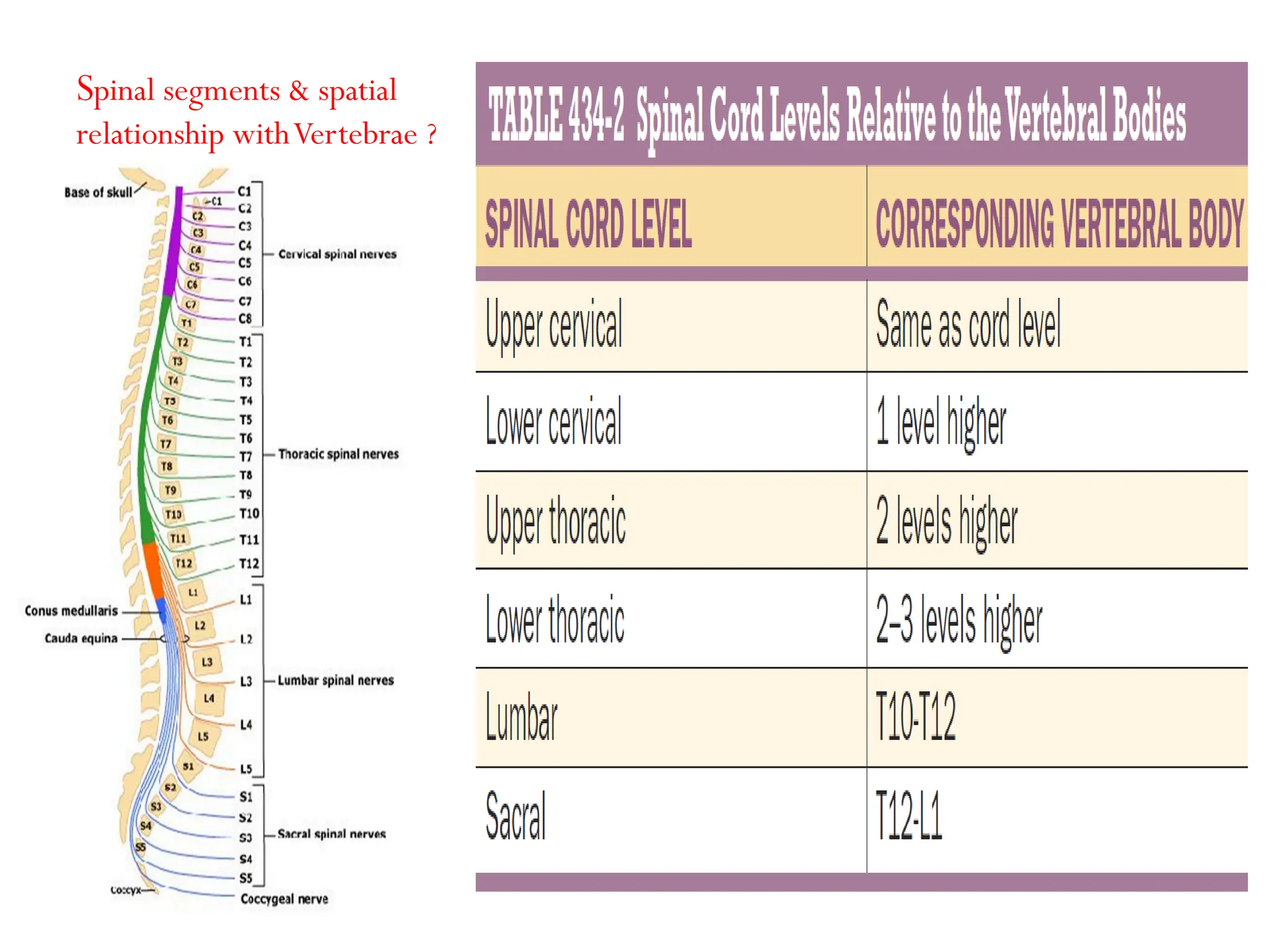 Spinal cord injury2 ,disease and other chronic lower extremity ...