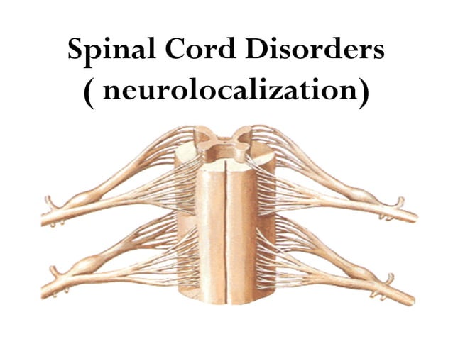 Spinal cord injury2 ,disease and other chronic lower extremity ...