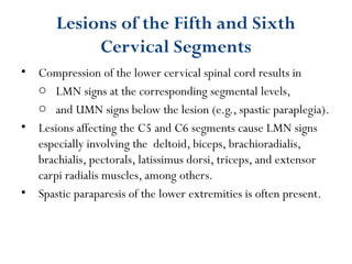 Spinal cord injury2 ,disease and other chronic lower extremity ...