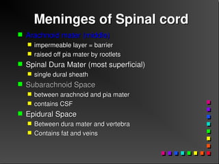 spinal cord original.☆SHARED BY PHYSIOGENIC.05 (03137864012 03464665381 ...