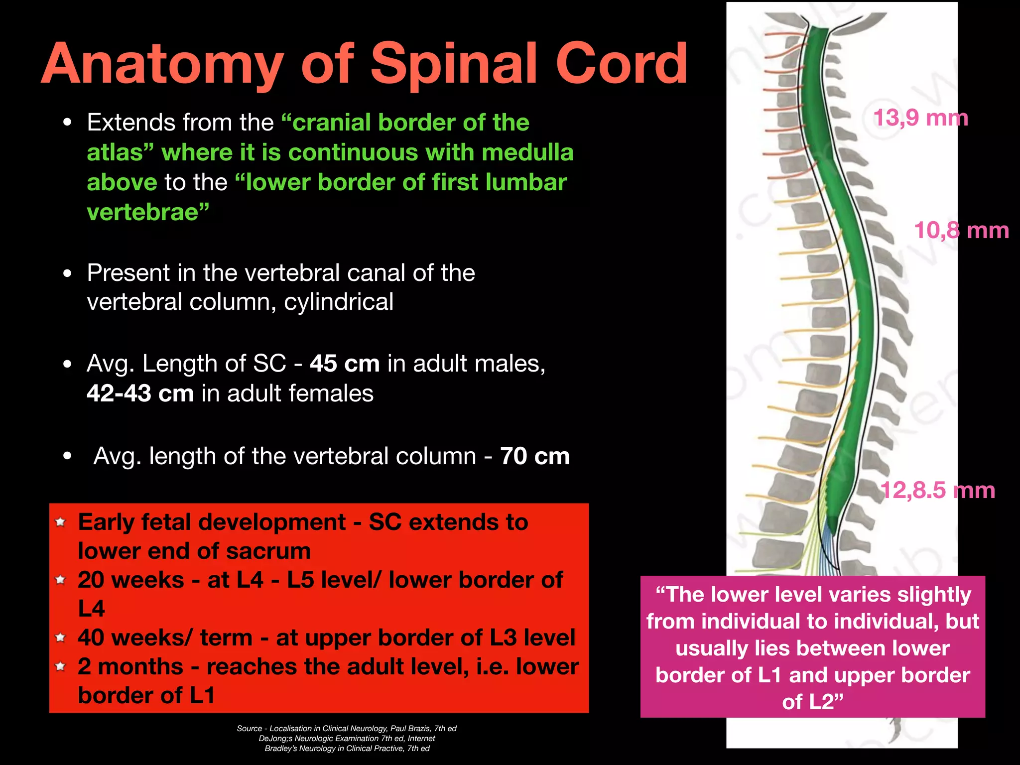 Neuro-Anatomy of the Spinal Cord | PDF