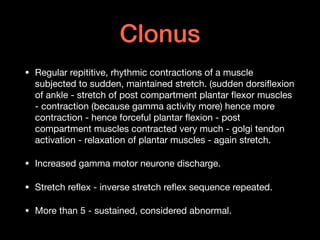 Neuro-Anatomy of the Spinal Cord | PDF