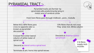 spinal cord anatomy and spinal cord physiology | PPTX