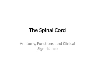 Spinal code presentation based on easy content | PPTX