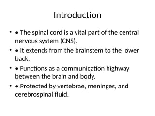 Spinal code presentation based on easy content | PPTX