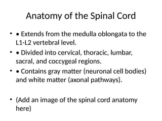 Spinal code presentation based on easy content | PPTX