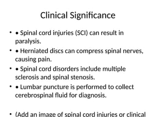 Spinal code presentation based on easy content | PPTX