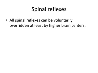 Spinal cord reflexes | PPTX | Death, Injury, or Military Conflict ...