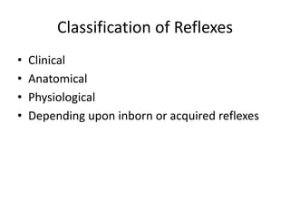 Spinal cord reflexes | PPTX