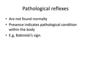 Spinal cord reflexes | PPTX