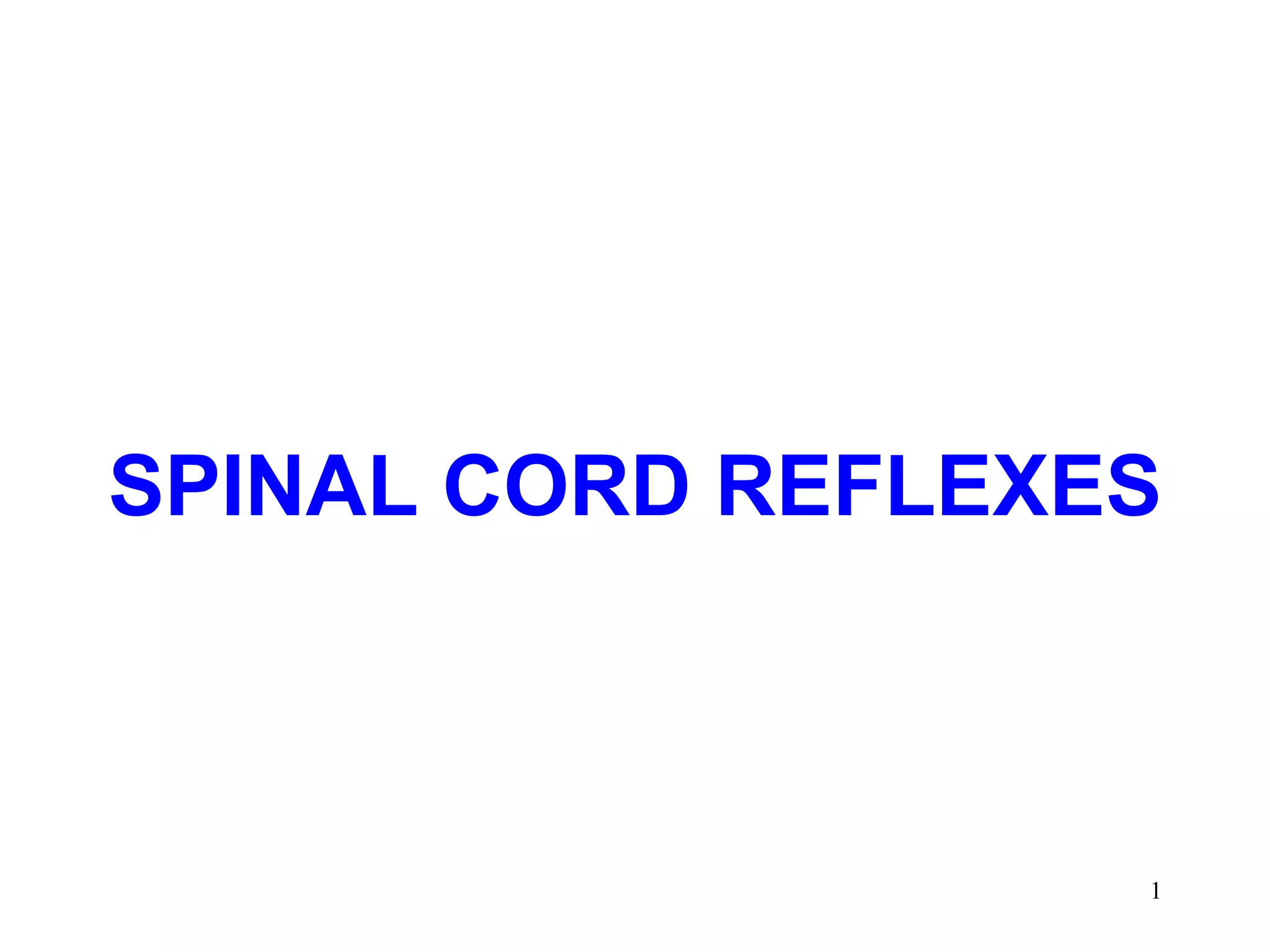 Spinal cord reflexes | PPT