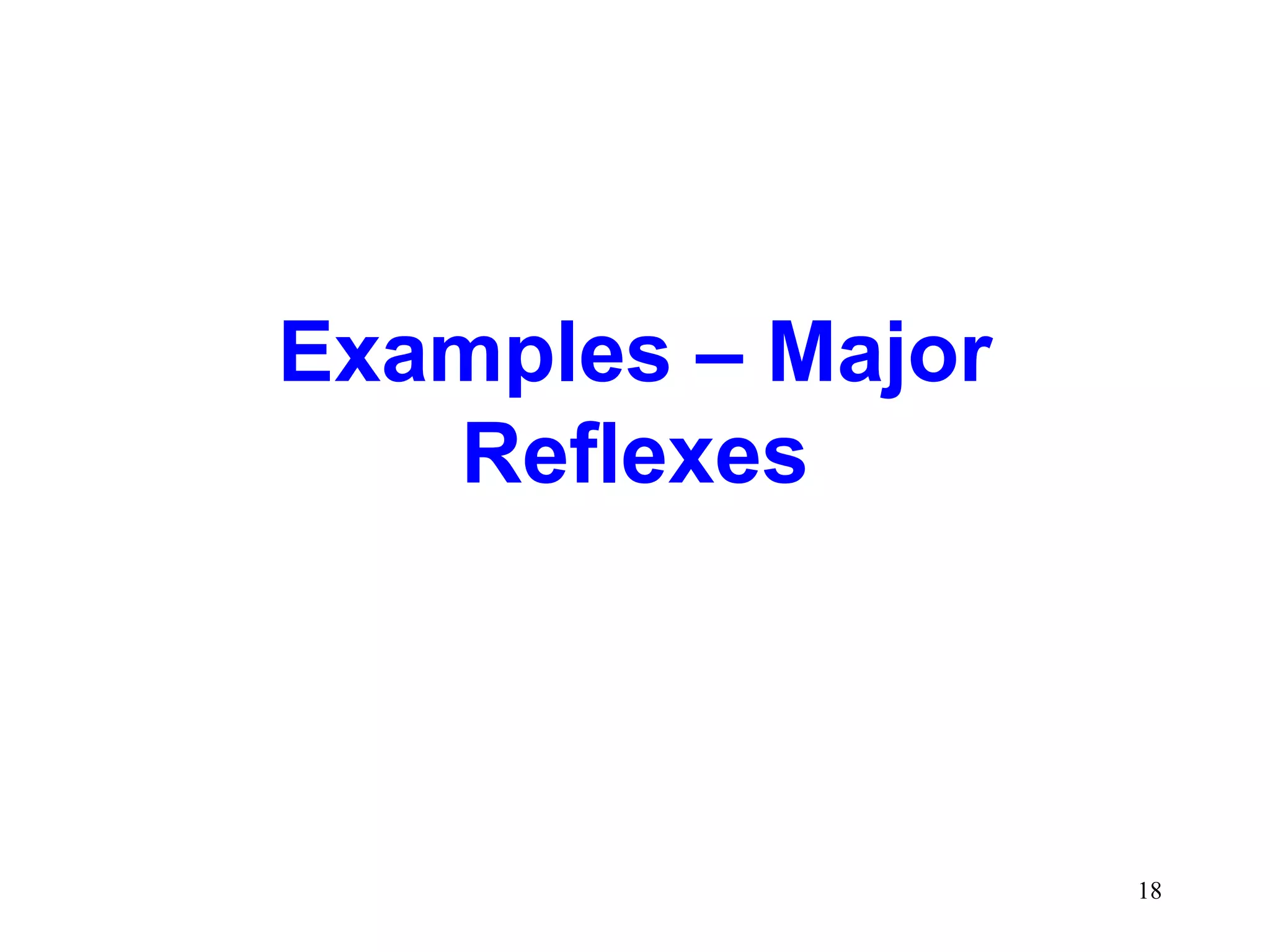 Spinal cord reflexes | PPT