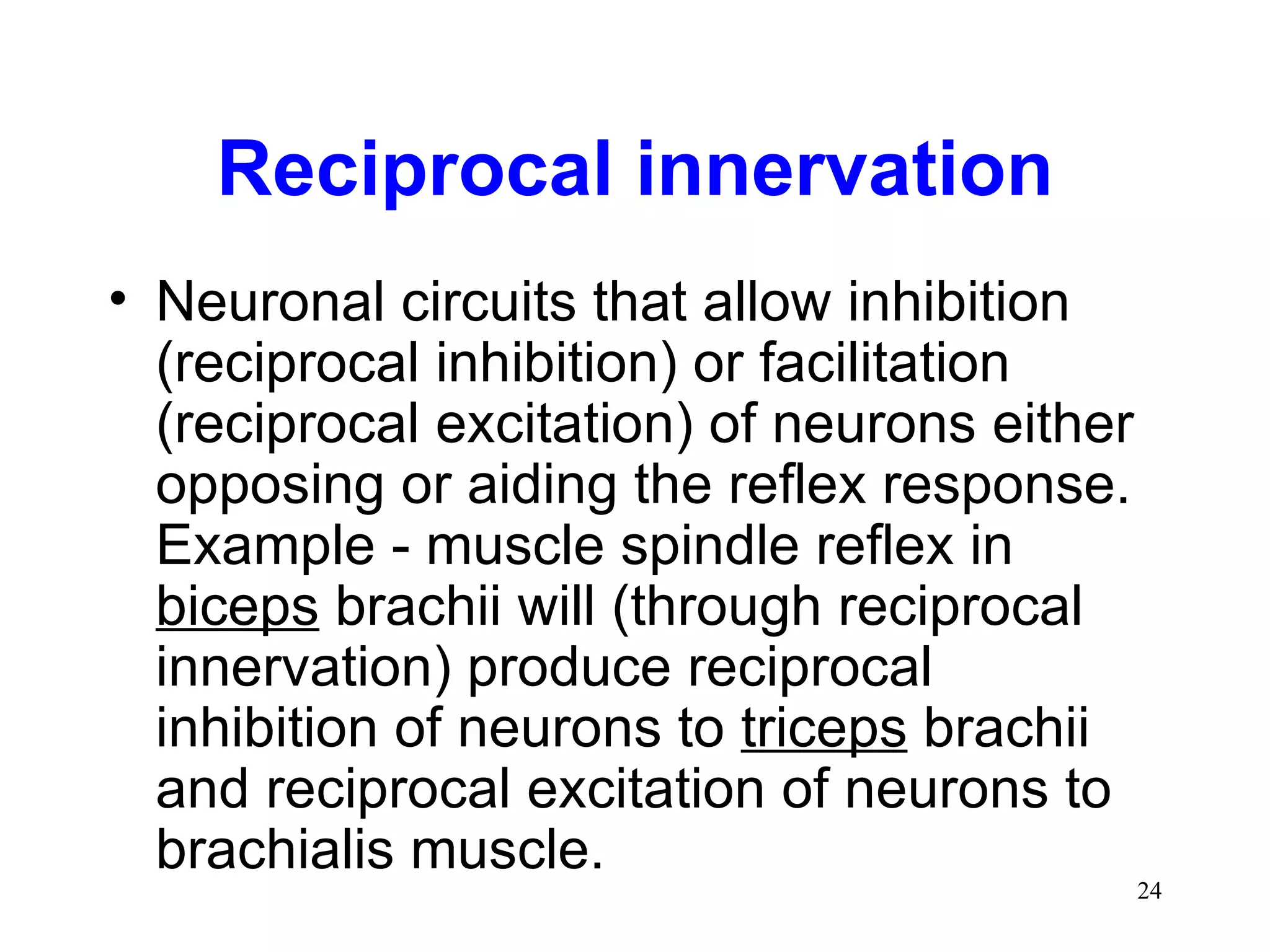 Spinal Cord Reflexes Ppt