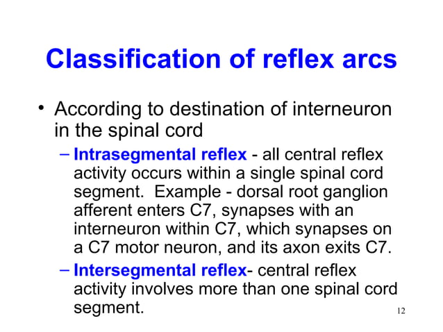 Spinal cord reflexes | PPT | First Aid | Injuries