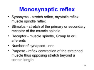 Spinal cord reflexes | PPT