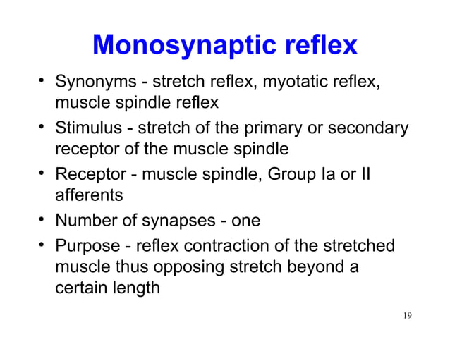 Spinal Cord Reflexes Ppt