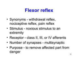 Spinal cord reflexes | PPT