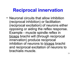 Spinal cord reflexes | PPT
