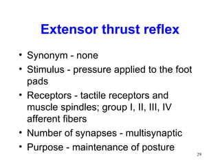 Spinal cord reflexes | PPT