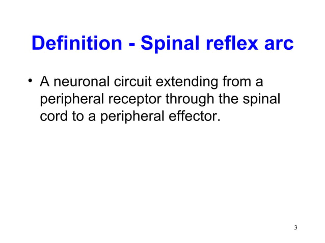 Spinal Cord Reflexes Ppt