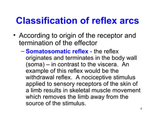 Spinal cord reflexes | PPT