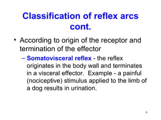 Spinal cord reflexes | PPT