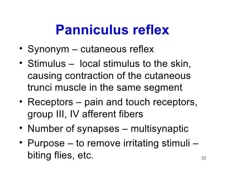 Spinal cord reflexes