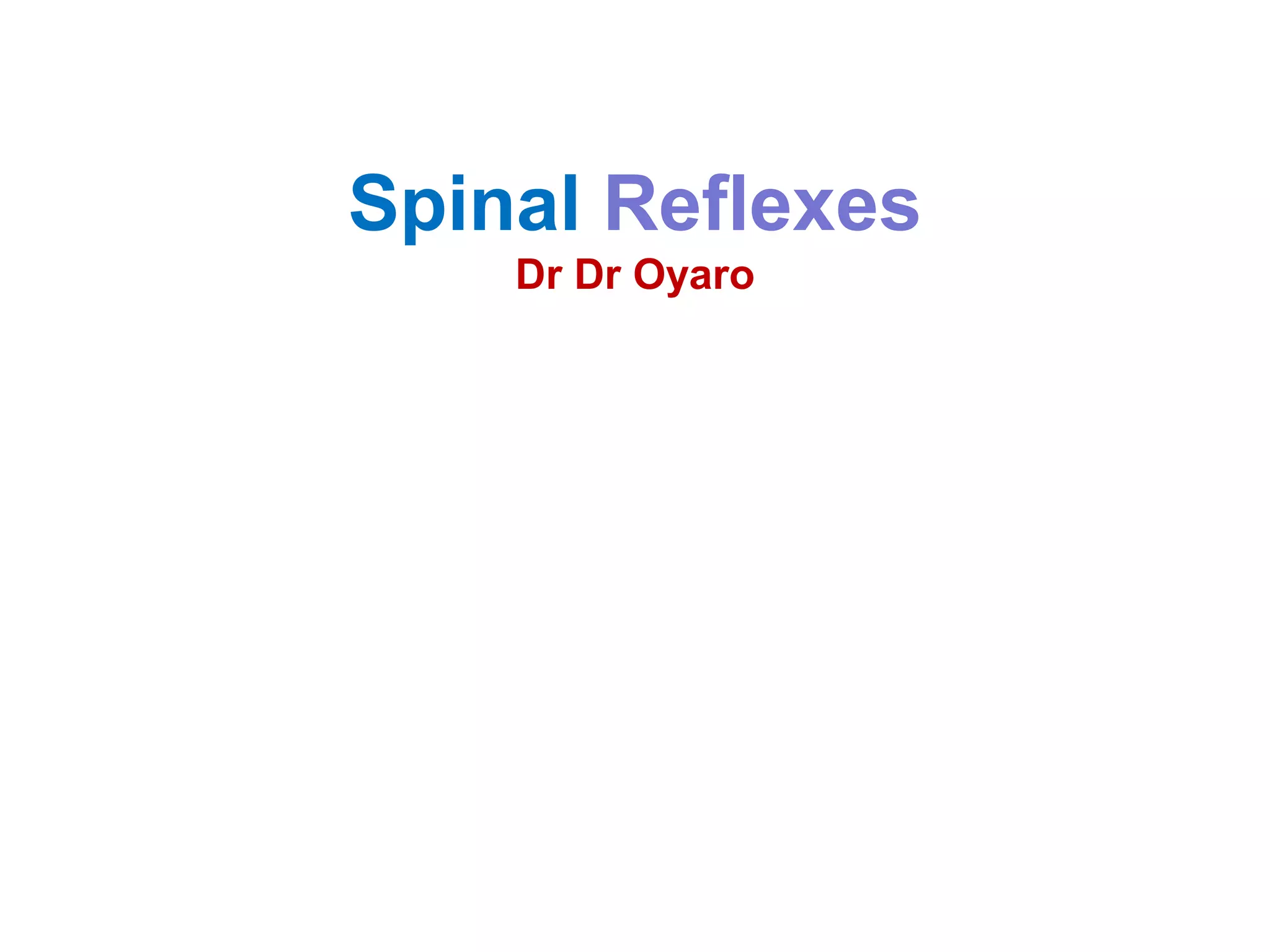 spinal cord reflexes.ppt