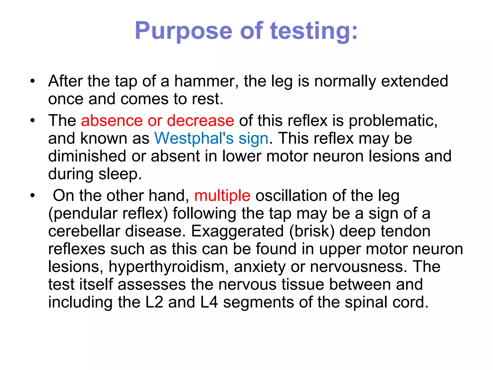 spinal cord reflexes.ppt