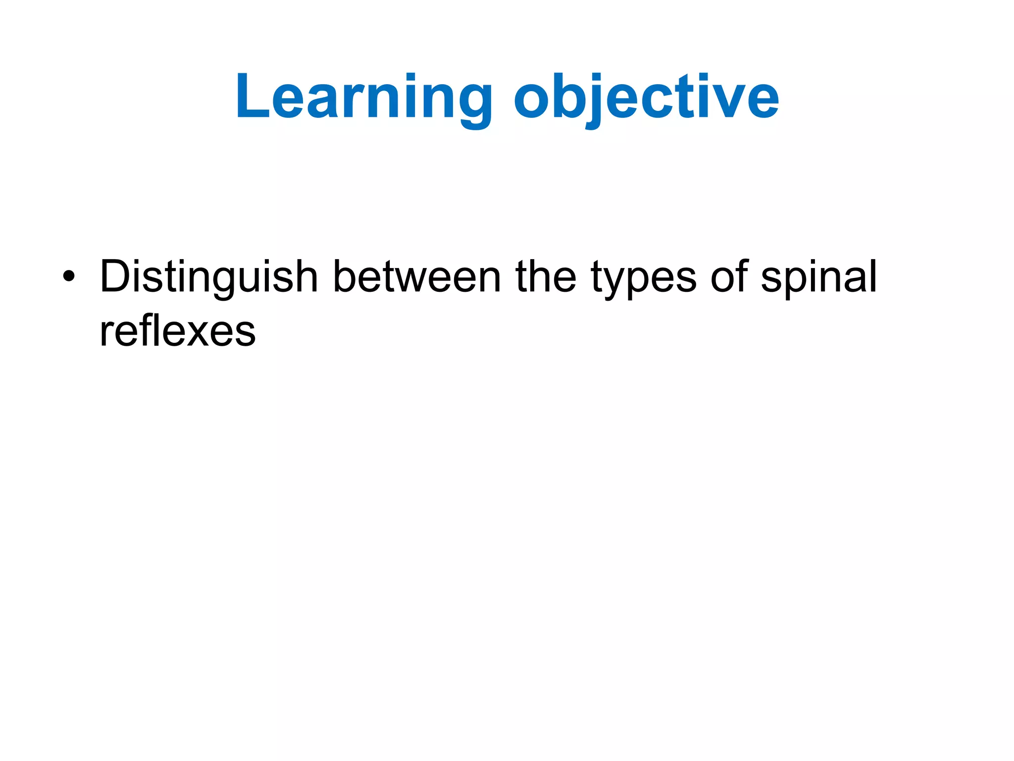spinal cord reflexes.ppt