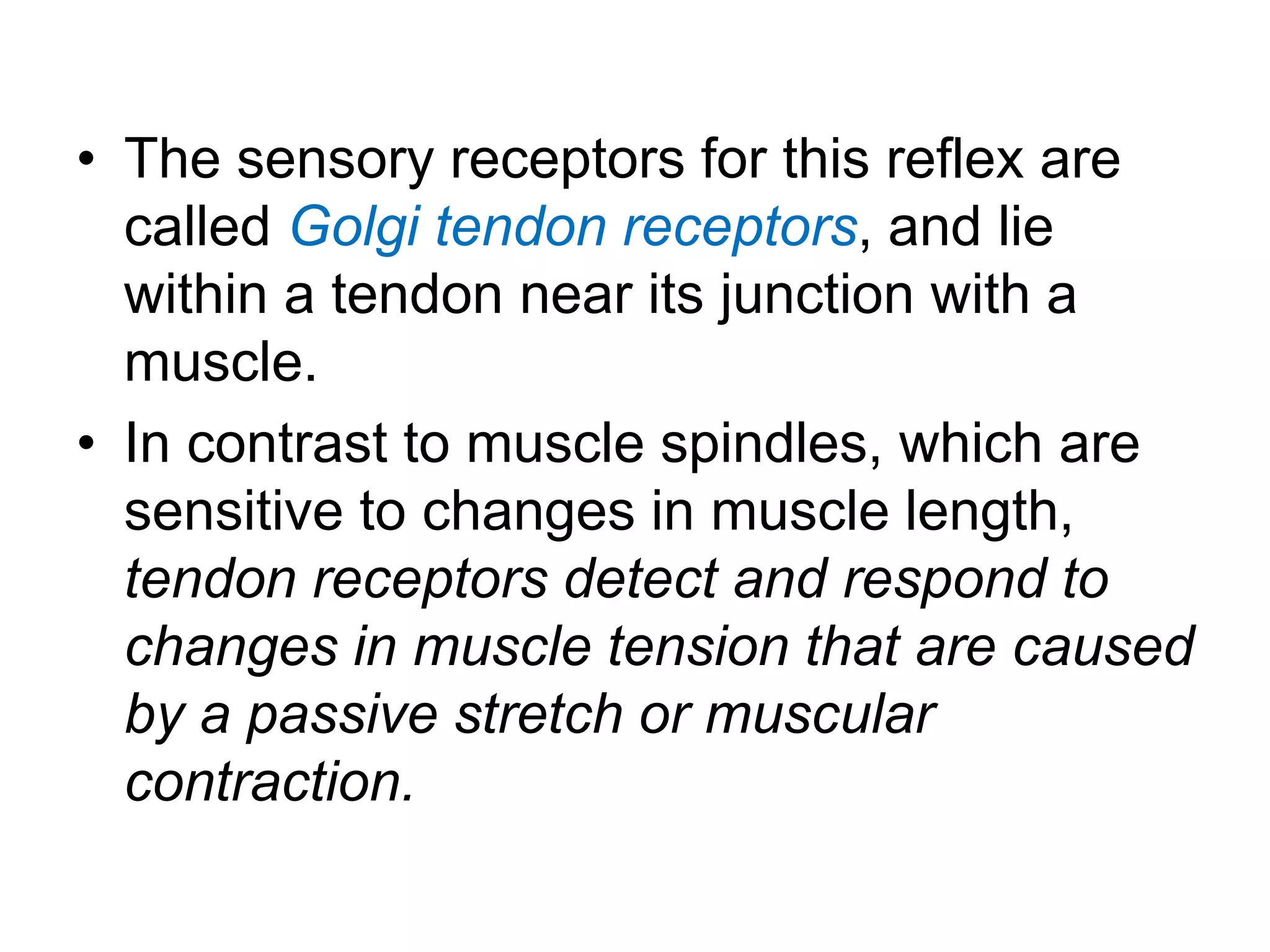 spinal cord reflexes.ppt