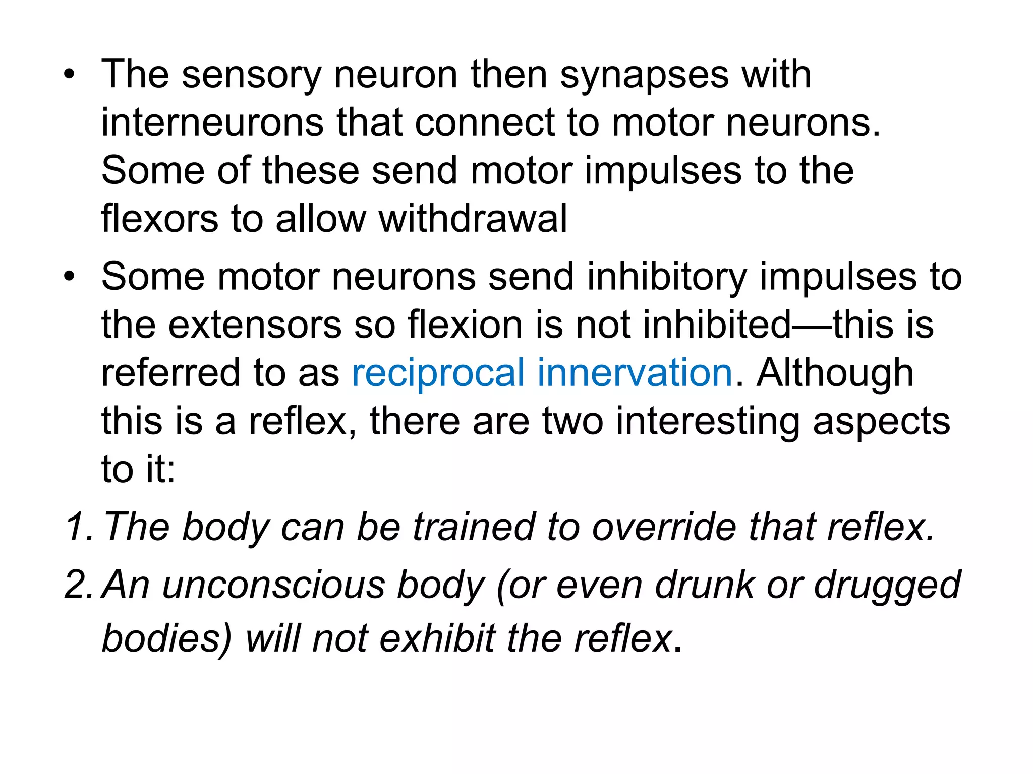 spinal cord reflexes.ppt