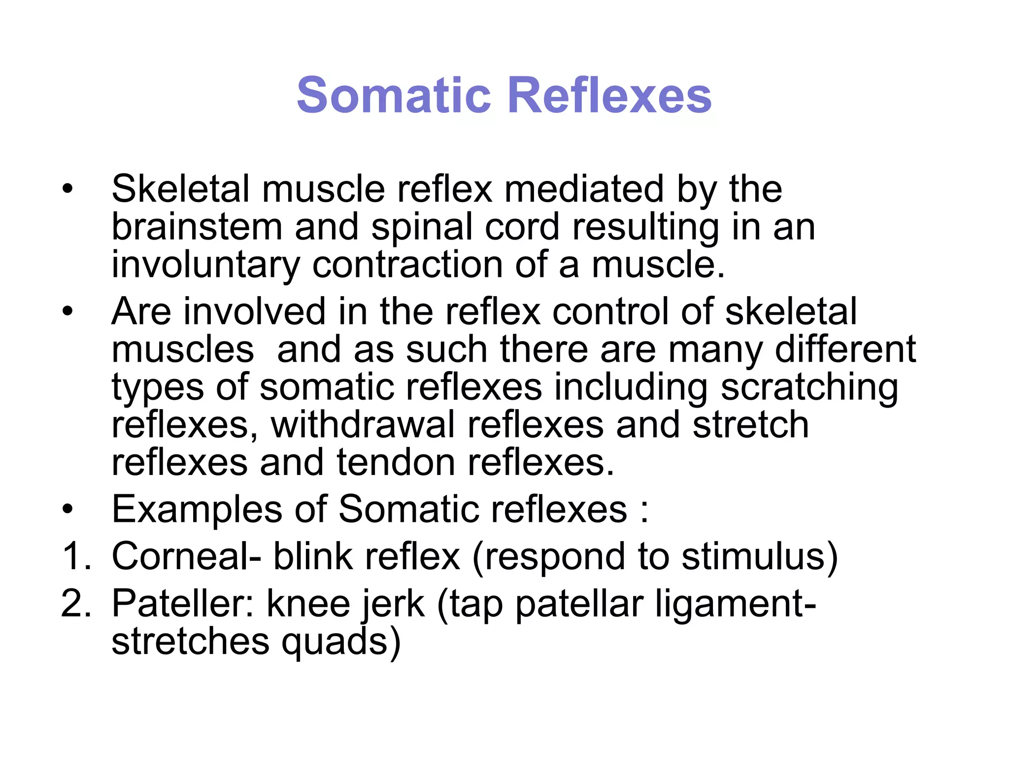 spinal cord reflexes.ppt