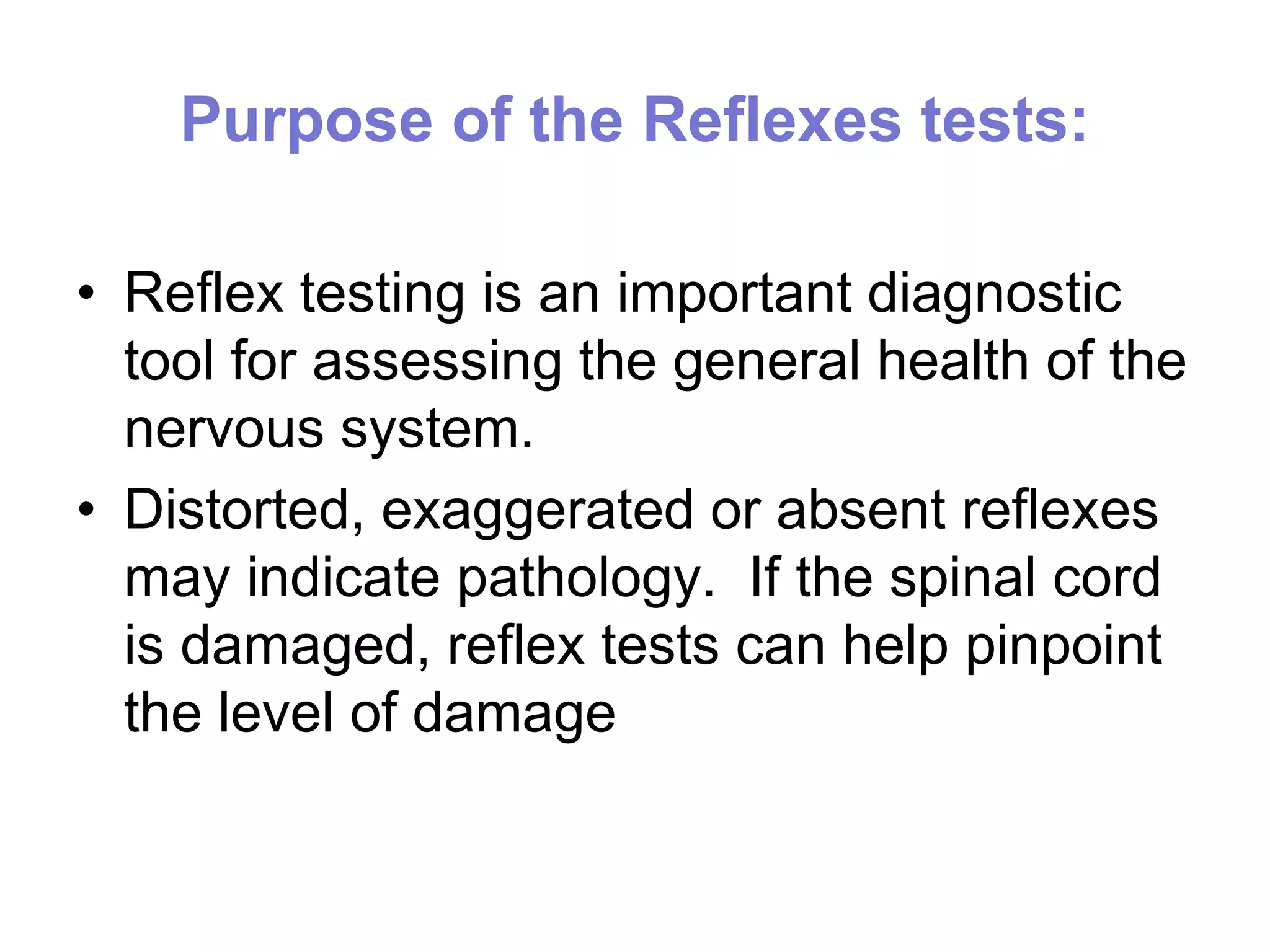 spinal cord reflexes.ppt