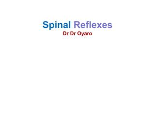spinal cord reflexes.ppt